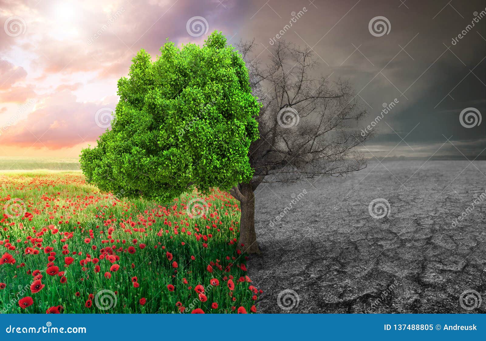 Ecological Concept with Tree and Climate Stock Illustration ...