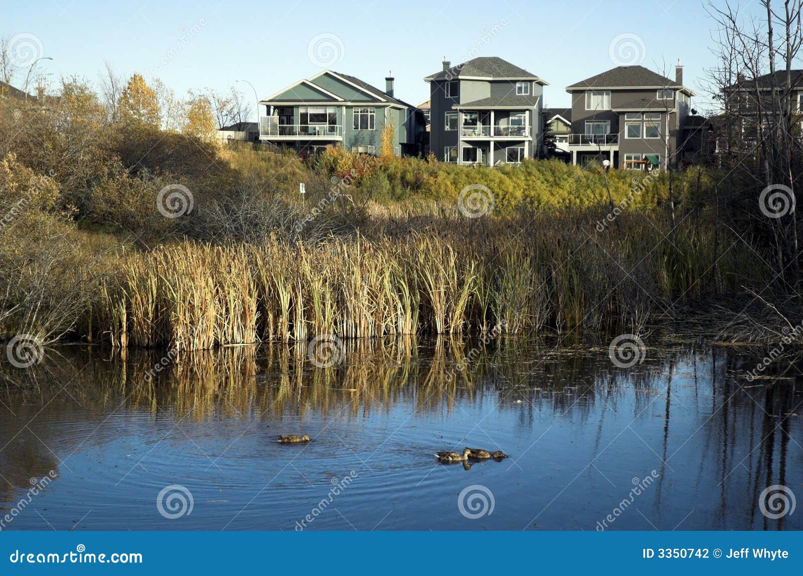 Ecological development stock photo. Image of development - 3350742
