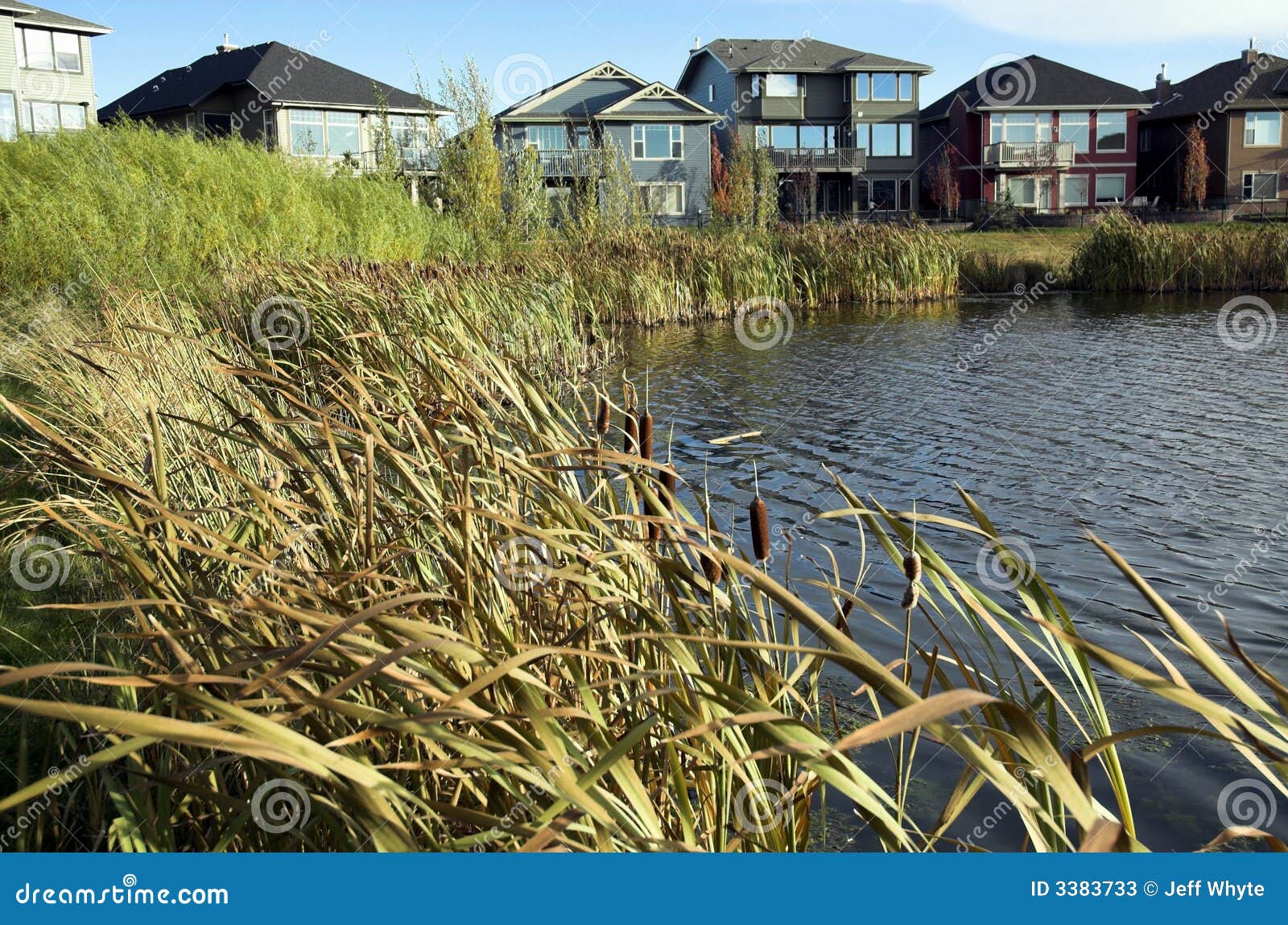 Ecological development stock image. Image of development - 3383733