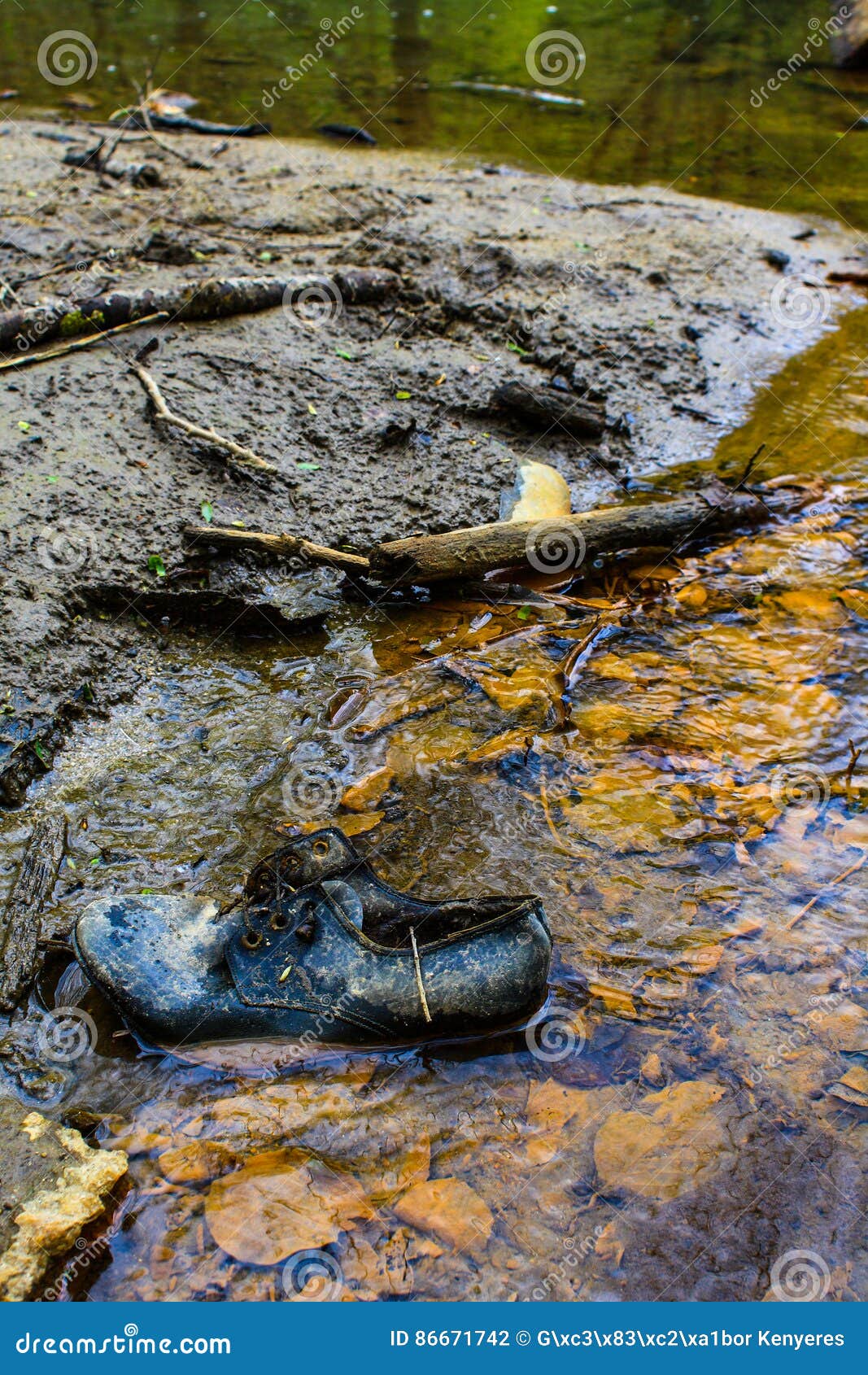 Ecological Disaster - Offal - Pollution Stock Photo - Image of accident ...