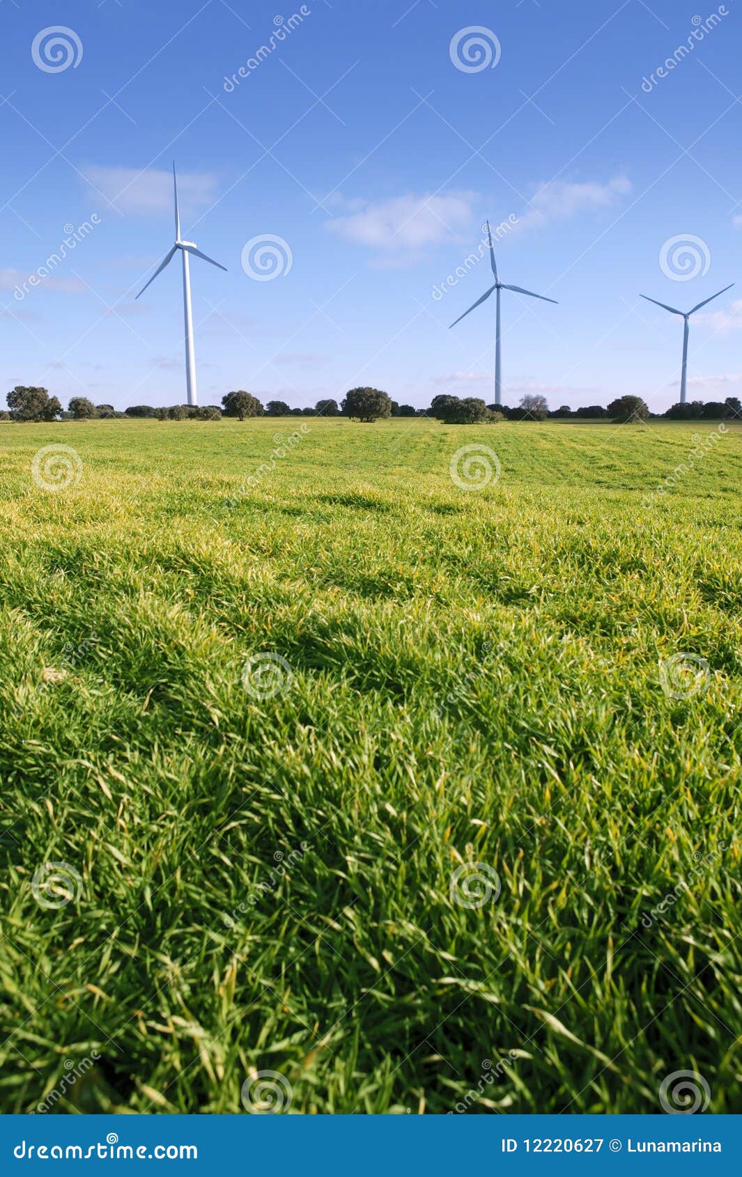 Ecological Electric Energy Windmills in Meadow Stock Image - Image of ... Ecological Electric Energy Windmills in Meadow Stock Image - Image of ...