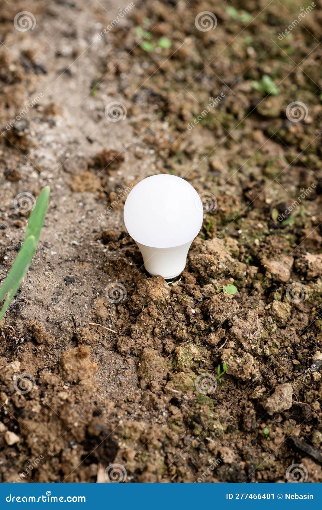 Ecological Energy Concept. Light Bulb in the Ground Stock Image - Image ...