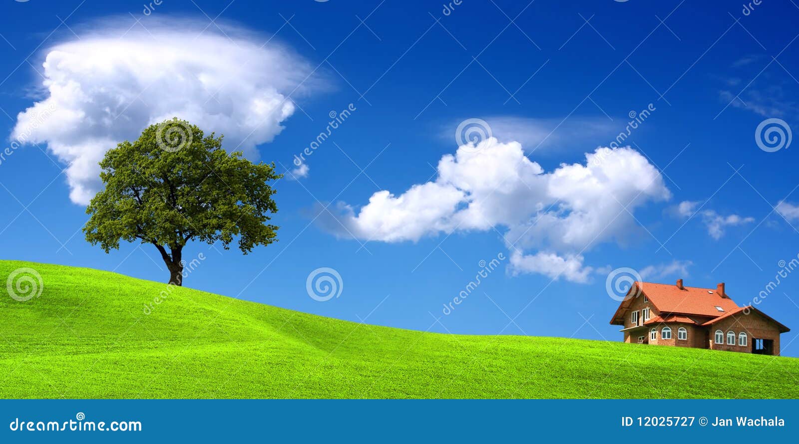 Ecological environment stock image. Image of landscape - 12025727