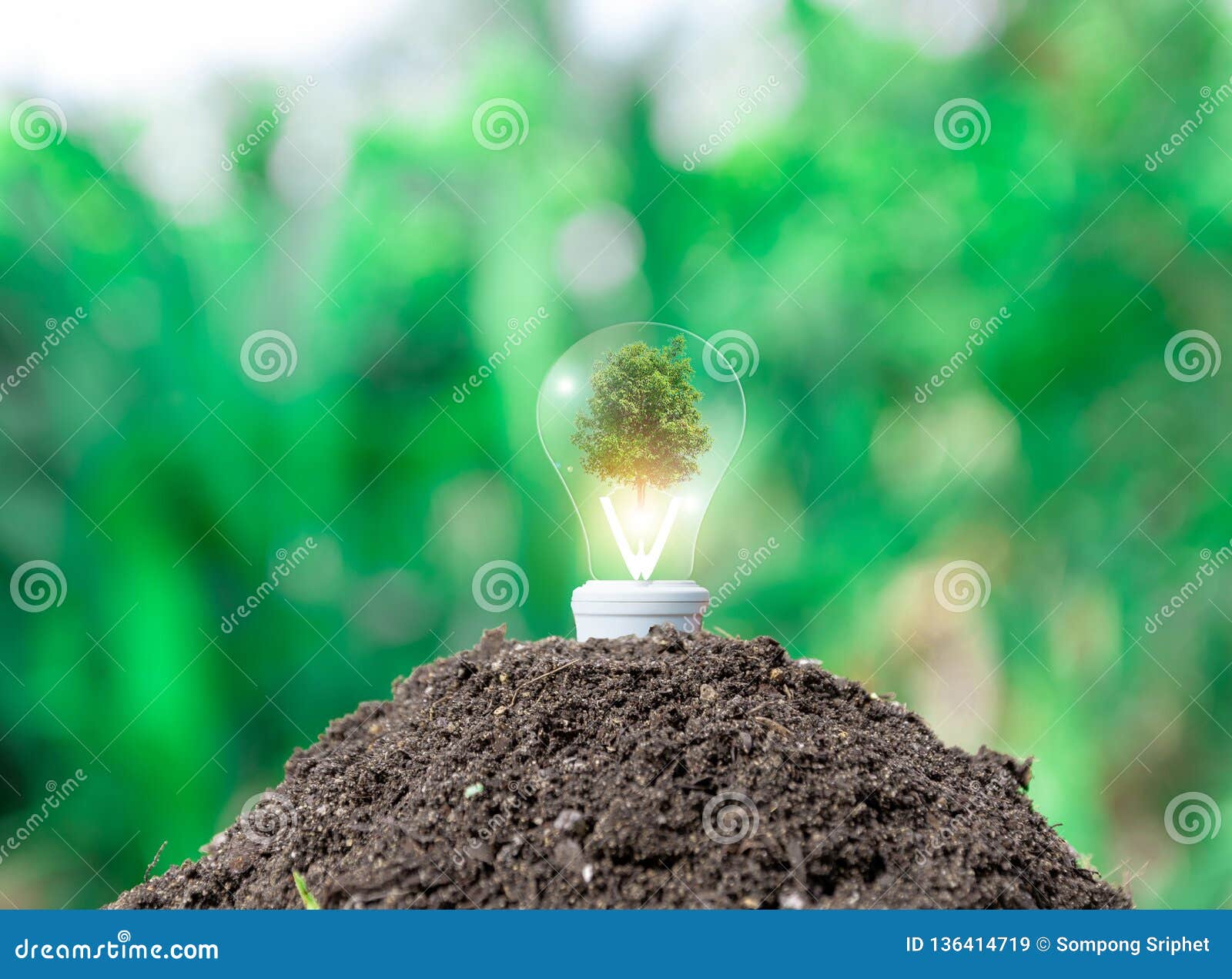 Ecological Environment Concept Light Bulbs on the Ground and Planting ...