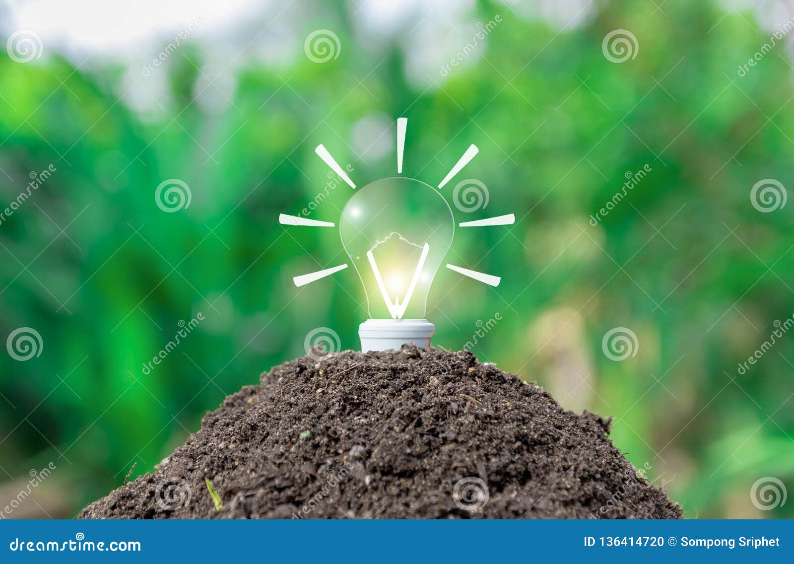 Ecological Environment Concept Light Bulbs on the Ground and Planting ...