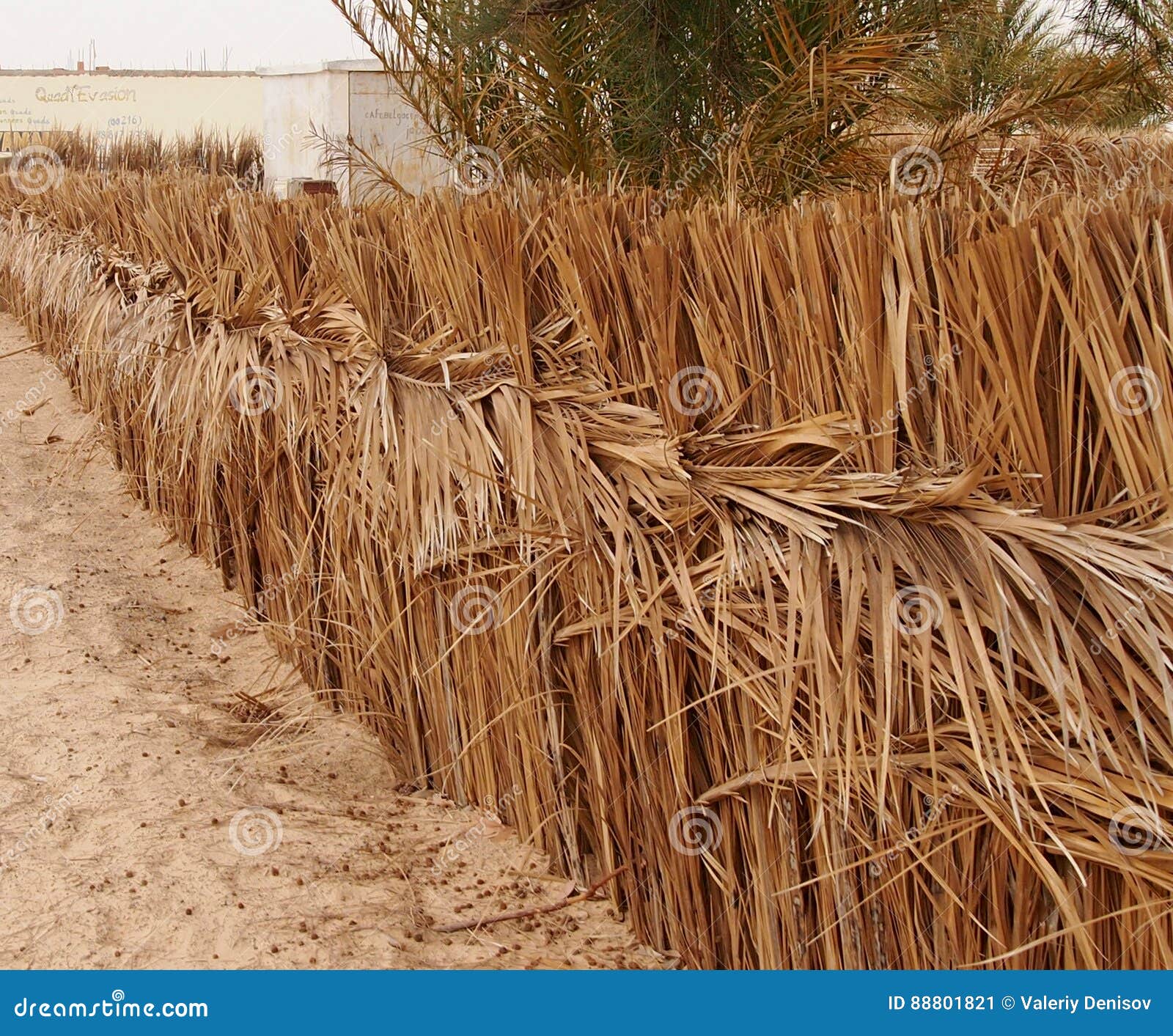 Ecological fence stock image. Image of gobi, sand, desert - 88801821