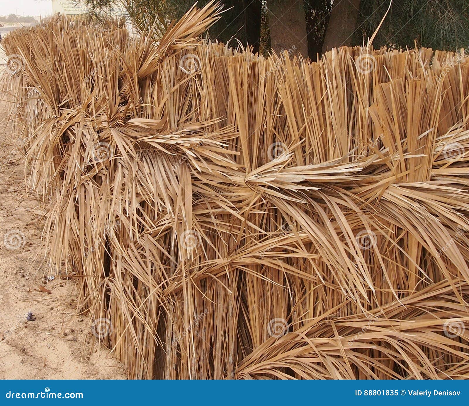 Ecological Fence Royalty-Free Stock Photo | CartoonDealer.com #88801821