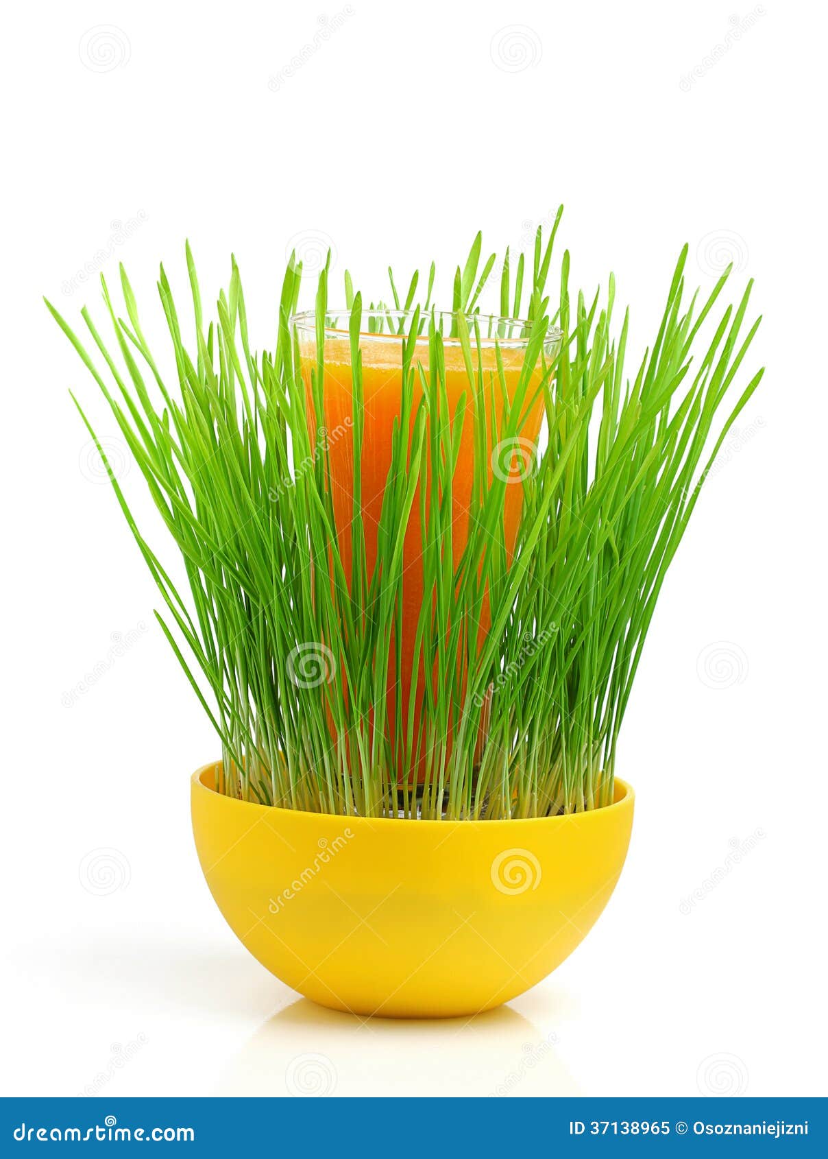 Ecological Food.Cocktail in the Grass. Stock Image - Image of healthy ...