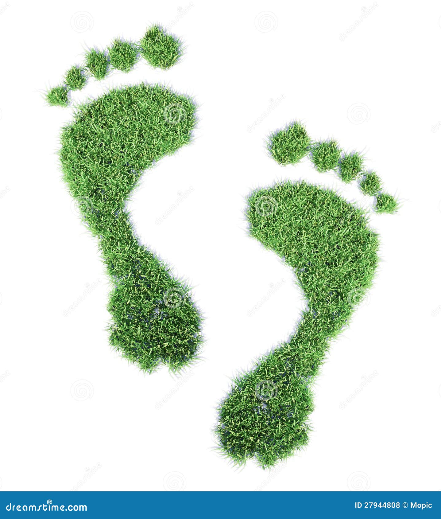 CO2 Ecological Footprint Symbol Green Eco Icon Vector Illustration ...