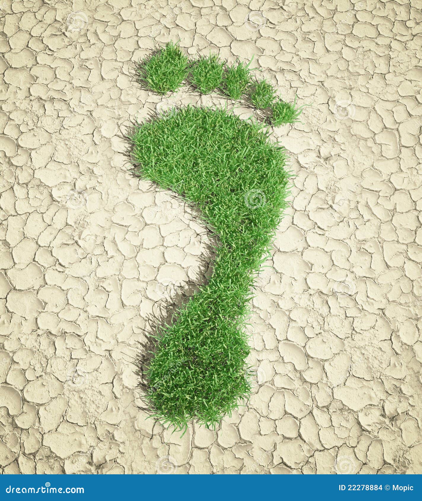 CO2 Ecological Footprint Symbol Green Eco Icon Vector Illustration ...
