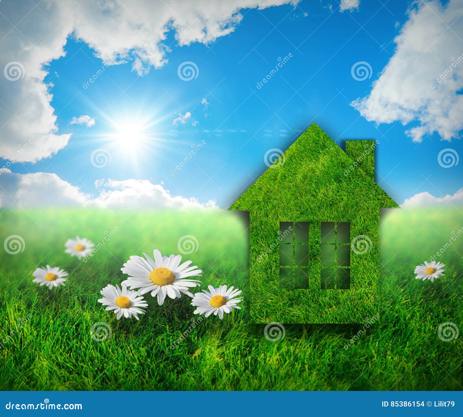 Ecological House on a Background of Grass Stock Photo - Image of ...