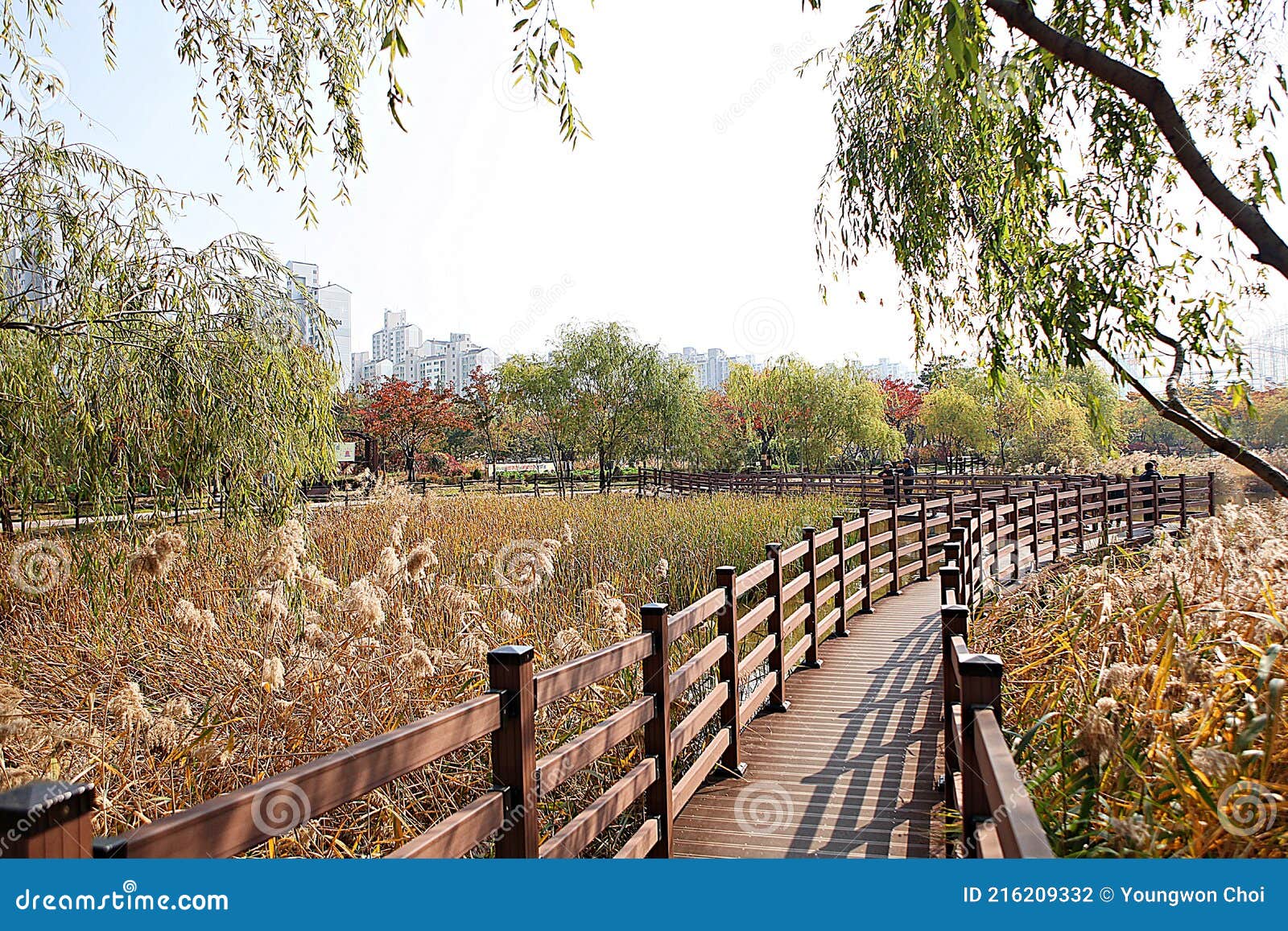 Korea ecological park editorial photography. Image of koreapark - 216209332