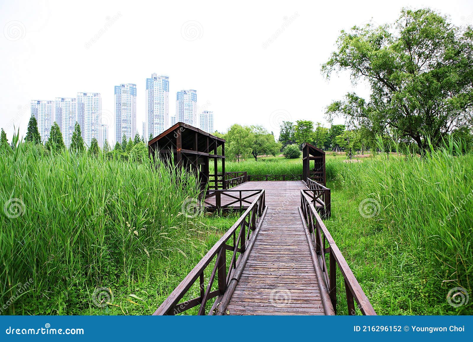 Korea ecological park editorial photography. Image of ecological ...