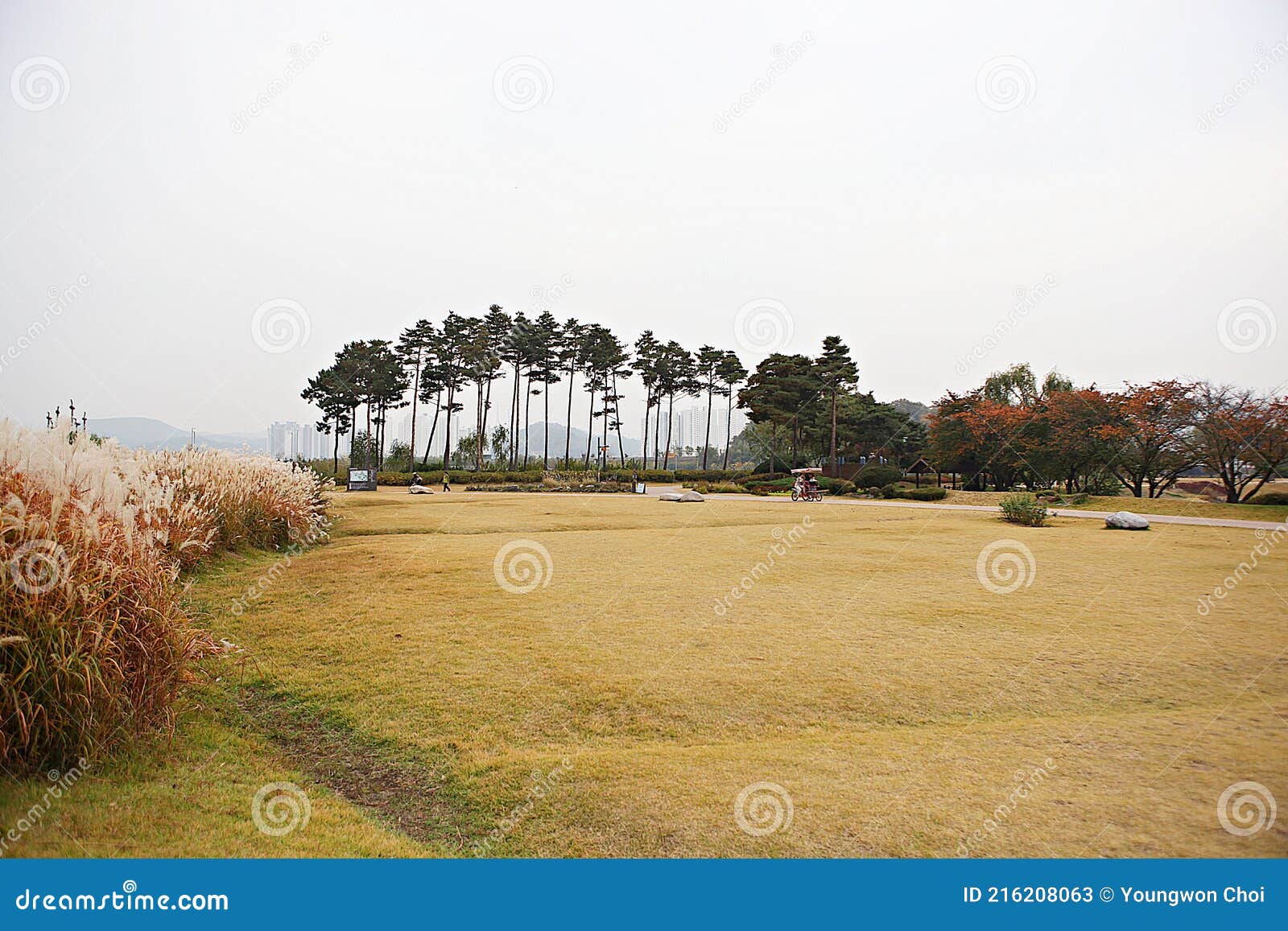 Korea ecological park editorial stock photo. Image of siheung - 216208063