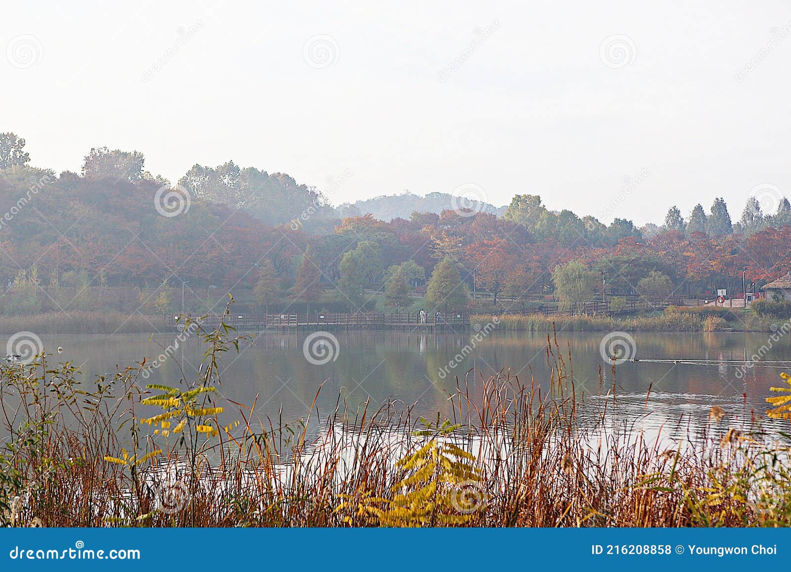 Korea ecological park stock photo. Image of nature, observatory - 216208858