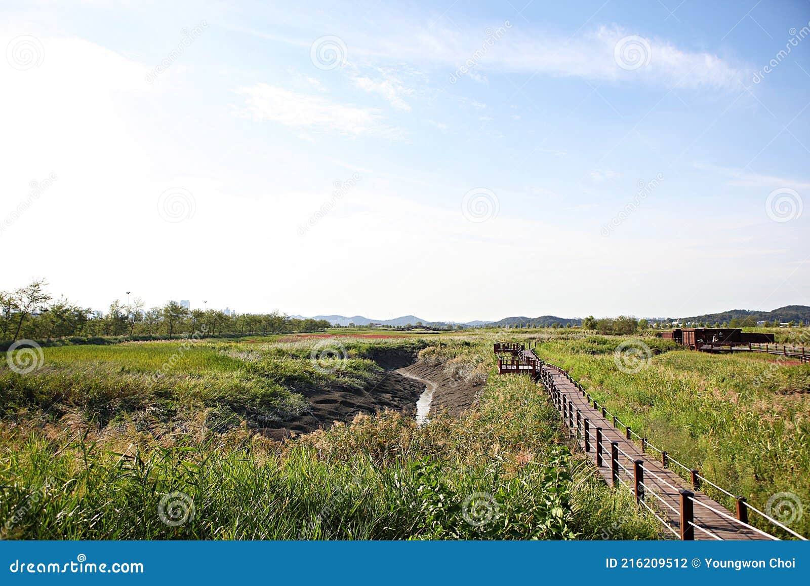 Korea ecological park editorial photography. Image of ecologicalpark ...