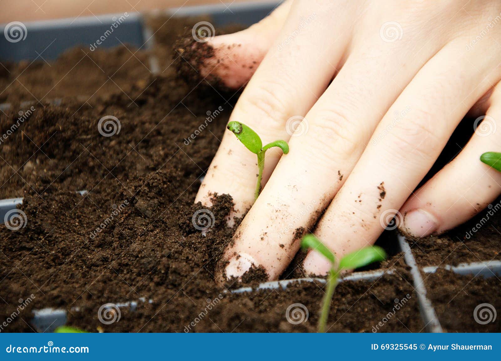Ecological planting stock image. Image of cell, ground - 69325545