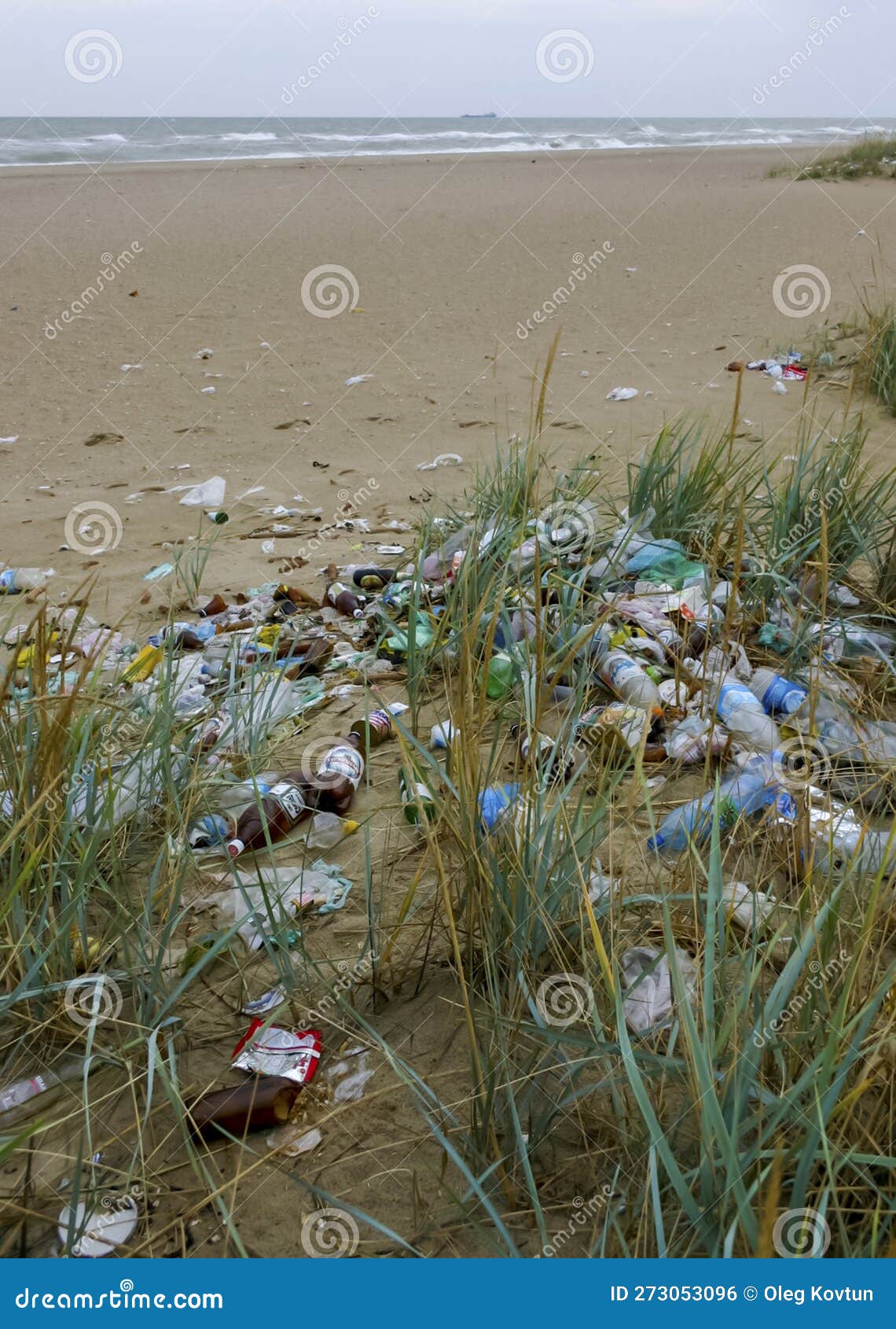 Ecological Problem, Pollution of Nature with Plastic Waste. Sea Coast ...