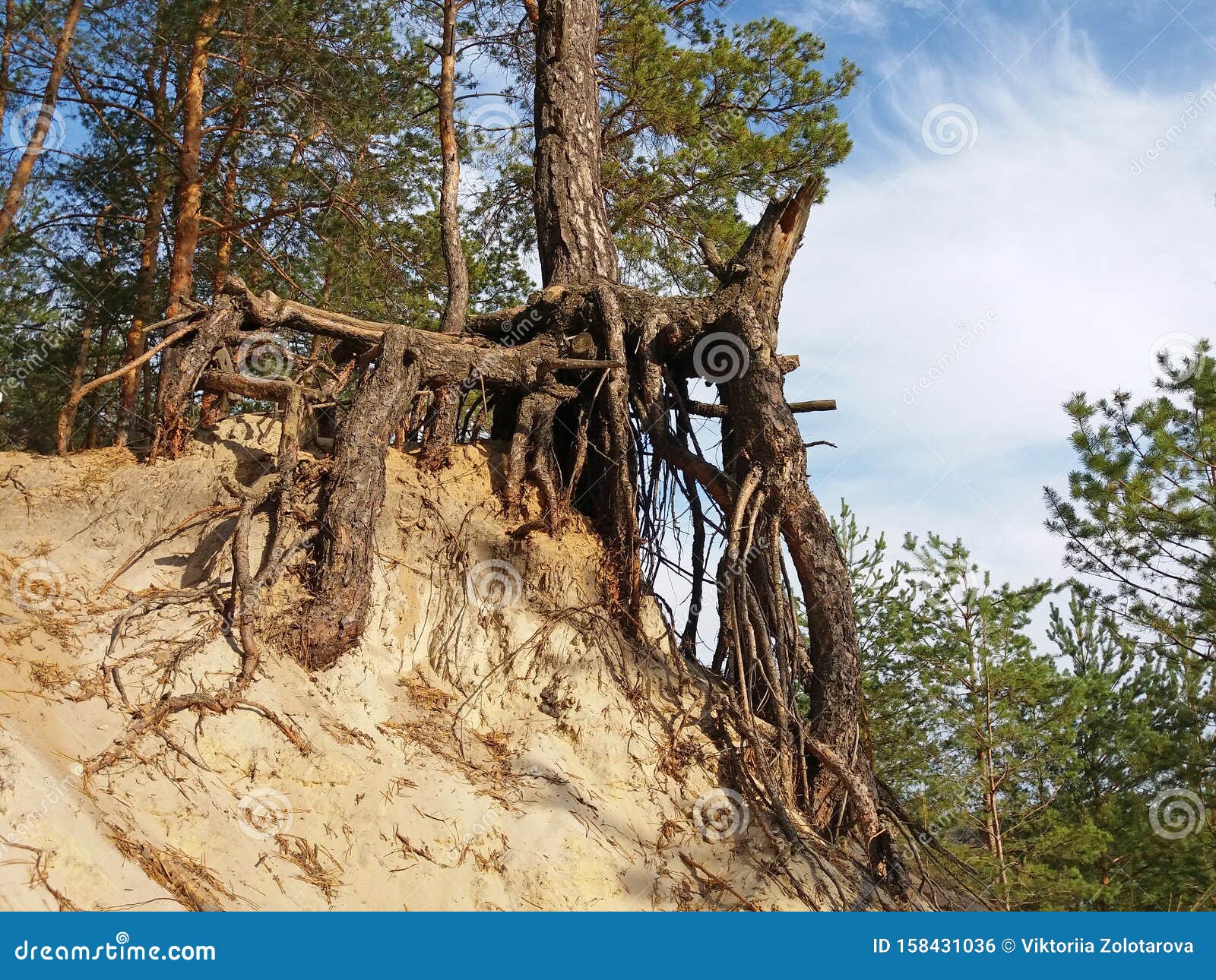 Ecological Problem, Soil Erosion of the Sand Pit Stock Photo - Image of ...