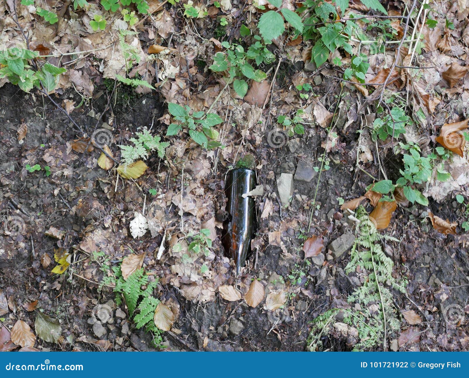 Ecological Problems and Pollution of Nature by Rubbish. Stock Photo ...