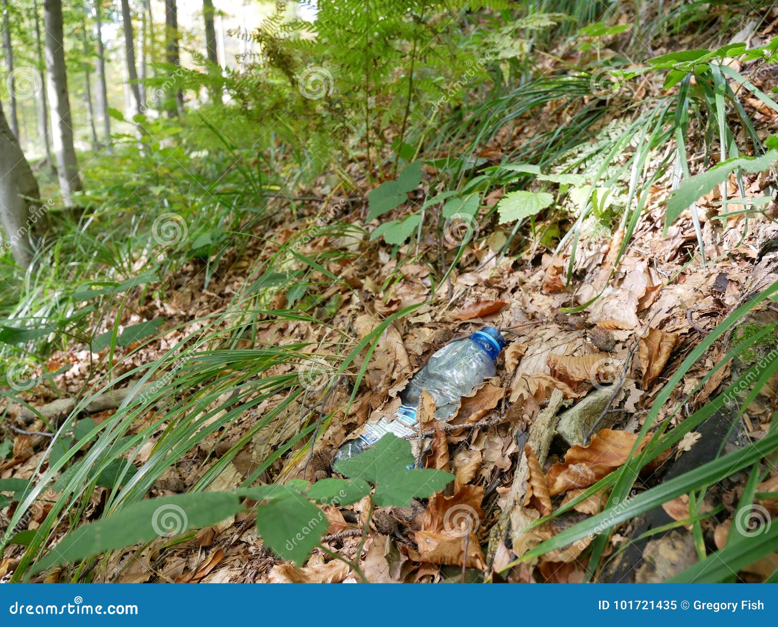 Ecological Problems and Pollution of Nature by Rubbish. Stock Image ...