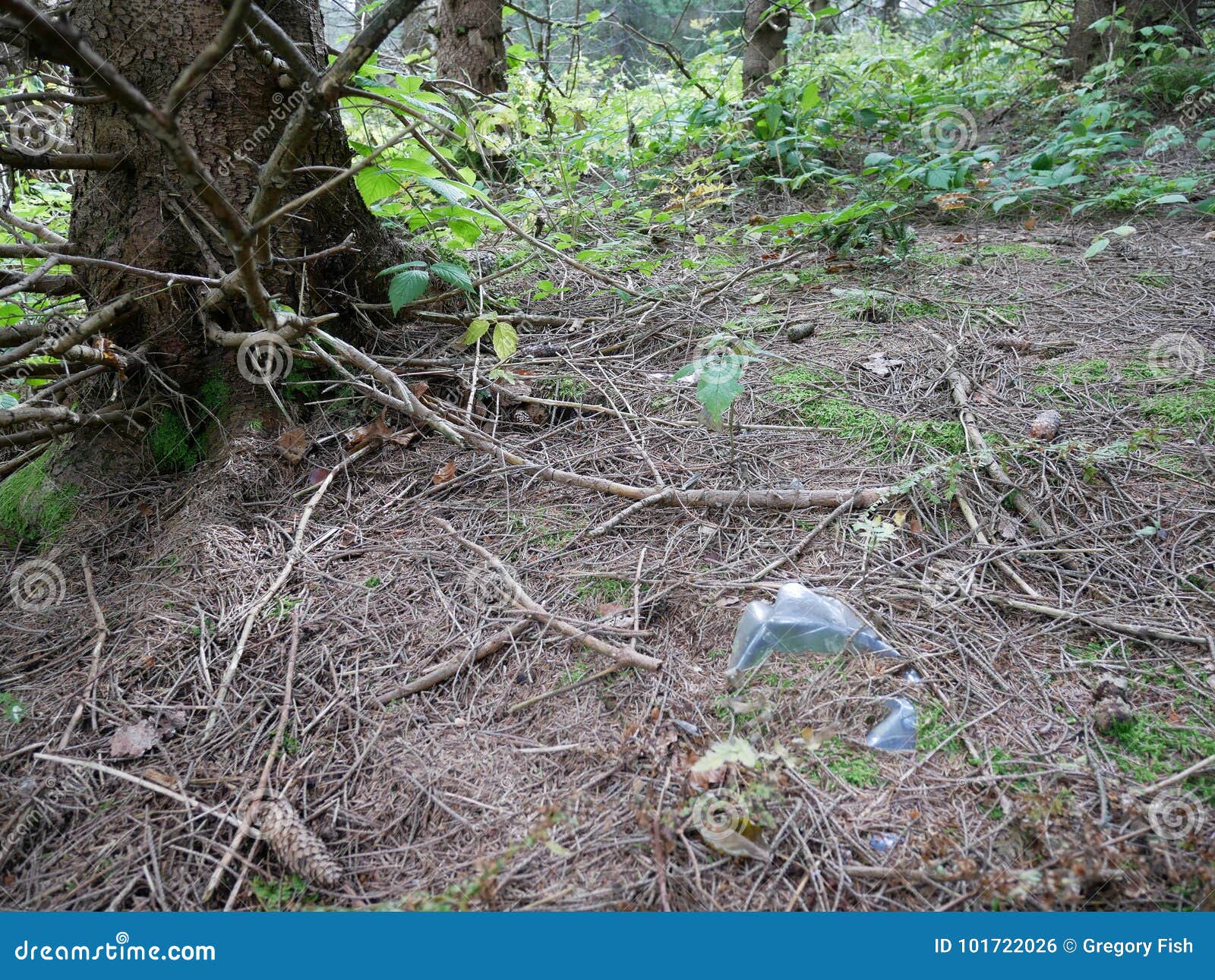 Ecological Problems and Pollution of Nature by Rubbish. Stock Photo ...