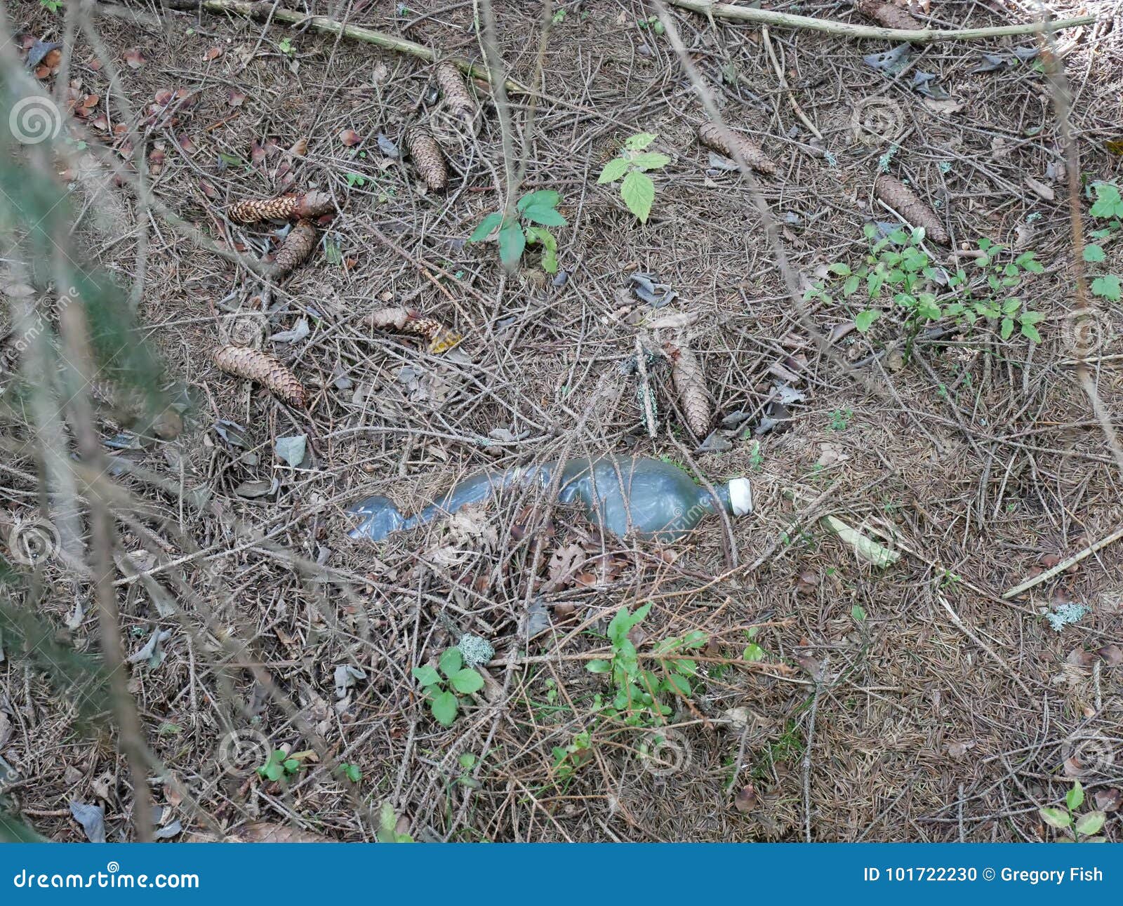 Ecological Problems and Pollution of Nature by Rubbish. Stock Photo ...