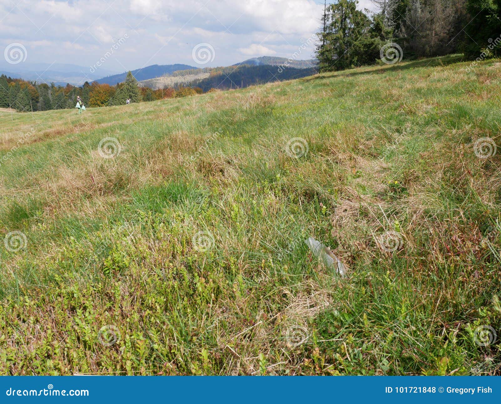 Ecological Problems and Pollution of Nature by Rubbish. Stock Photo ...