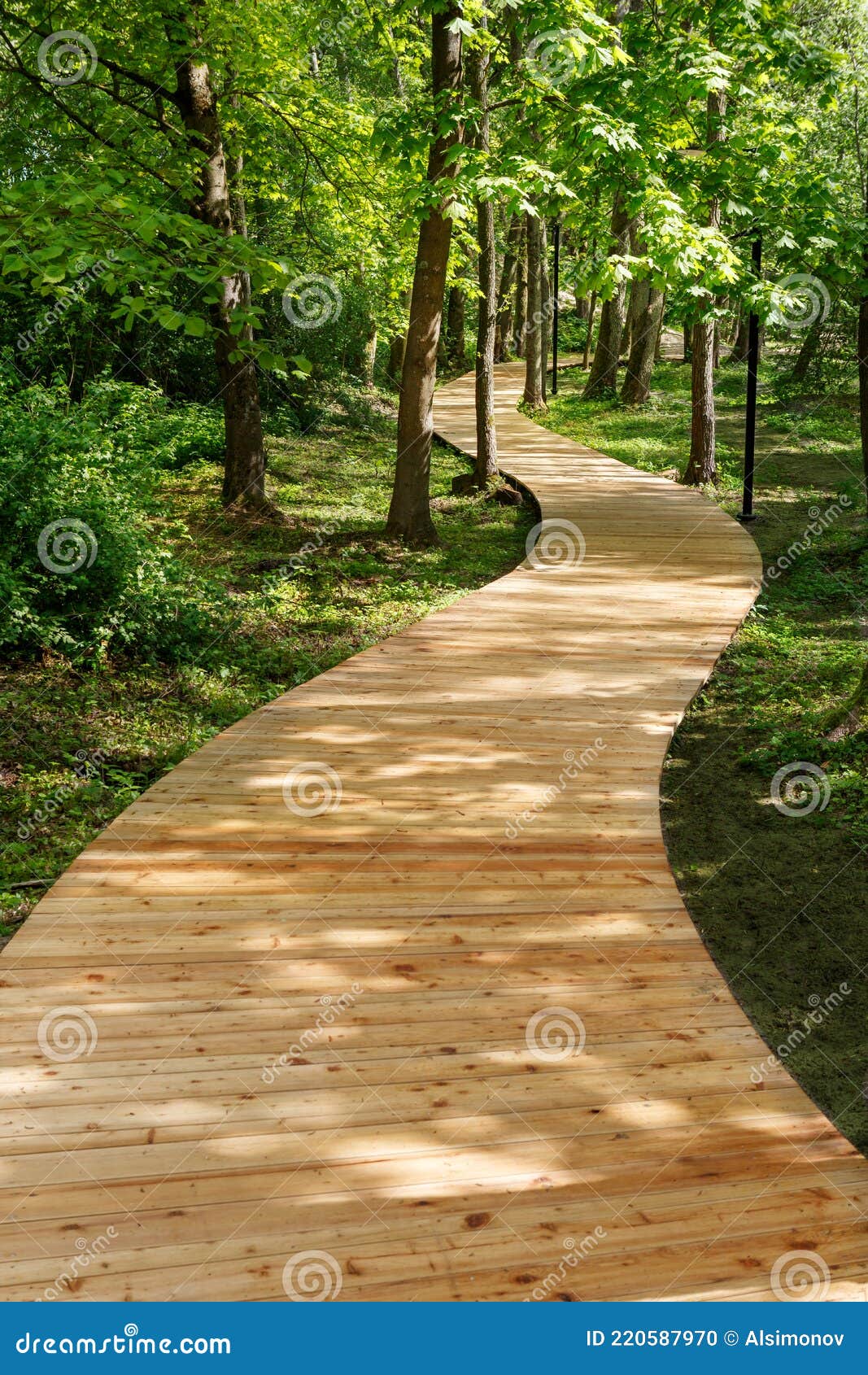 Ecological, Wooden Walking Path in the Forest Stock Photo - Image of ...