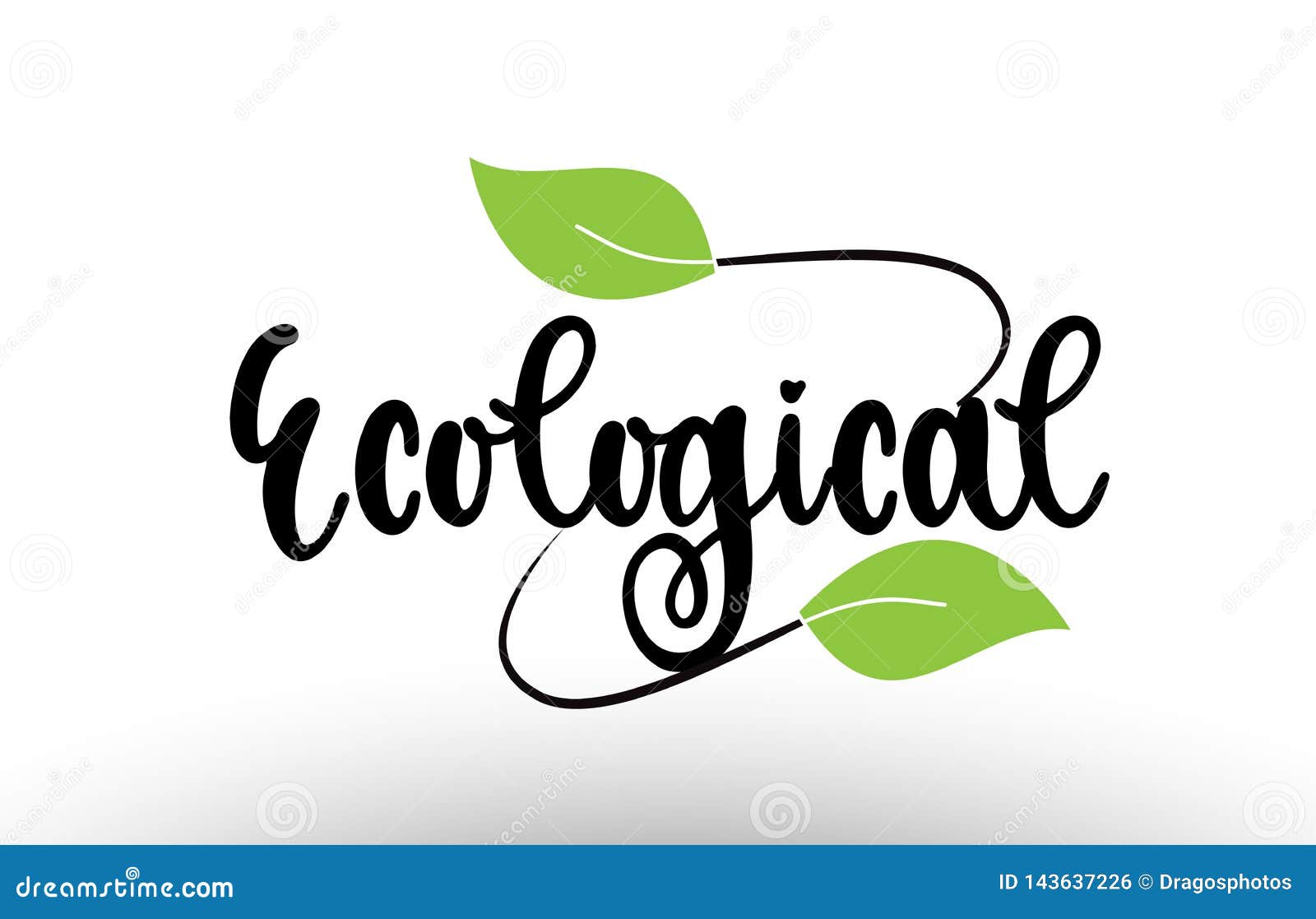 Ecological Word Text with Green Leaf Logo Icon Design Stock Vector ...