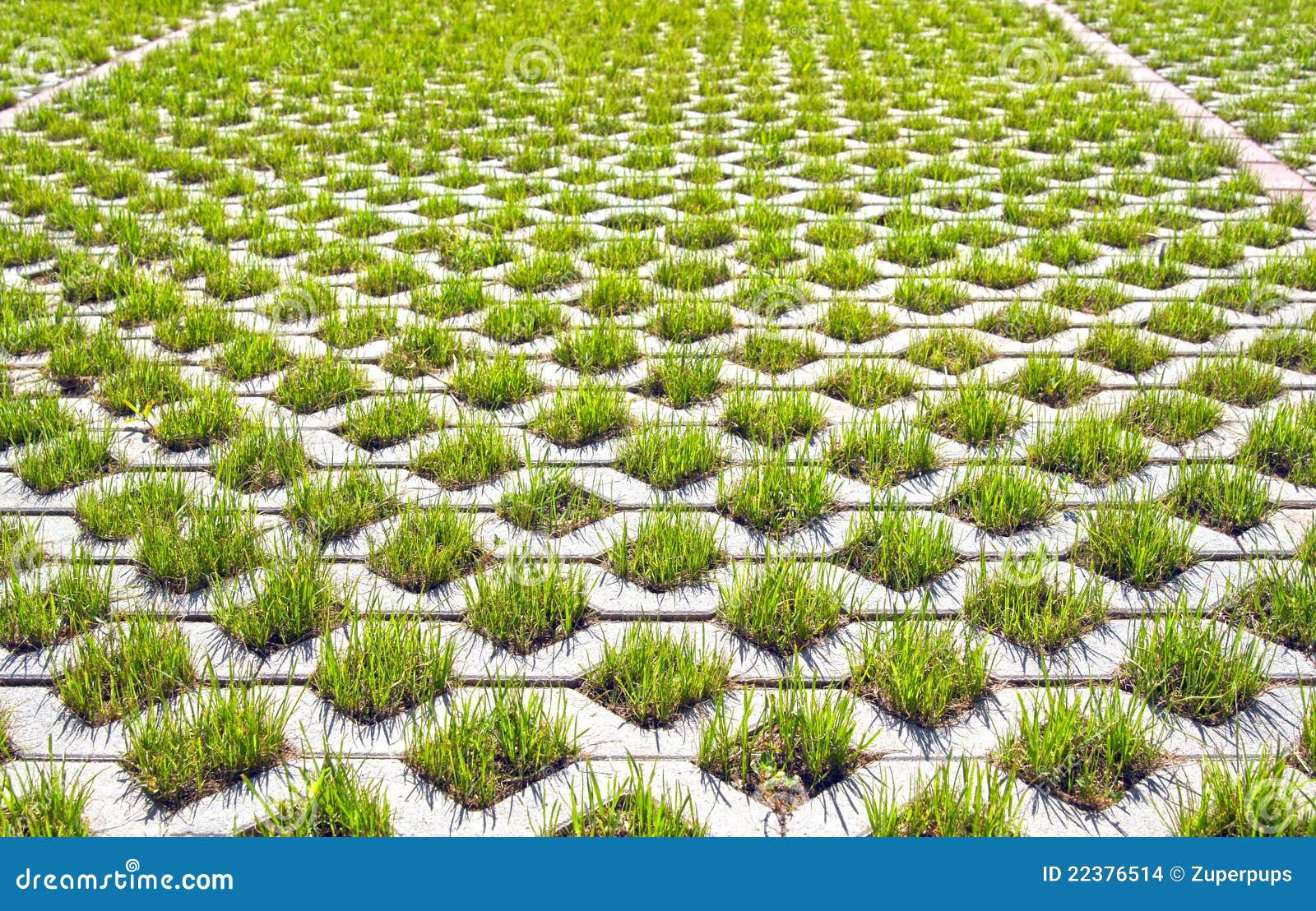 Ecologisch parkeren stock foto. Image of band, nieuw - 22376514