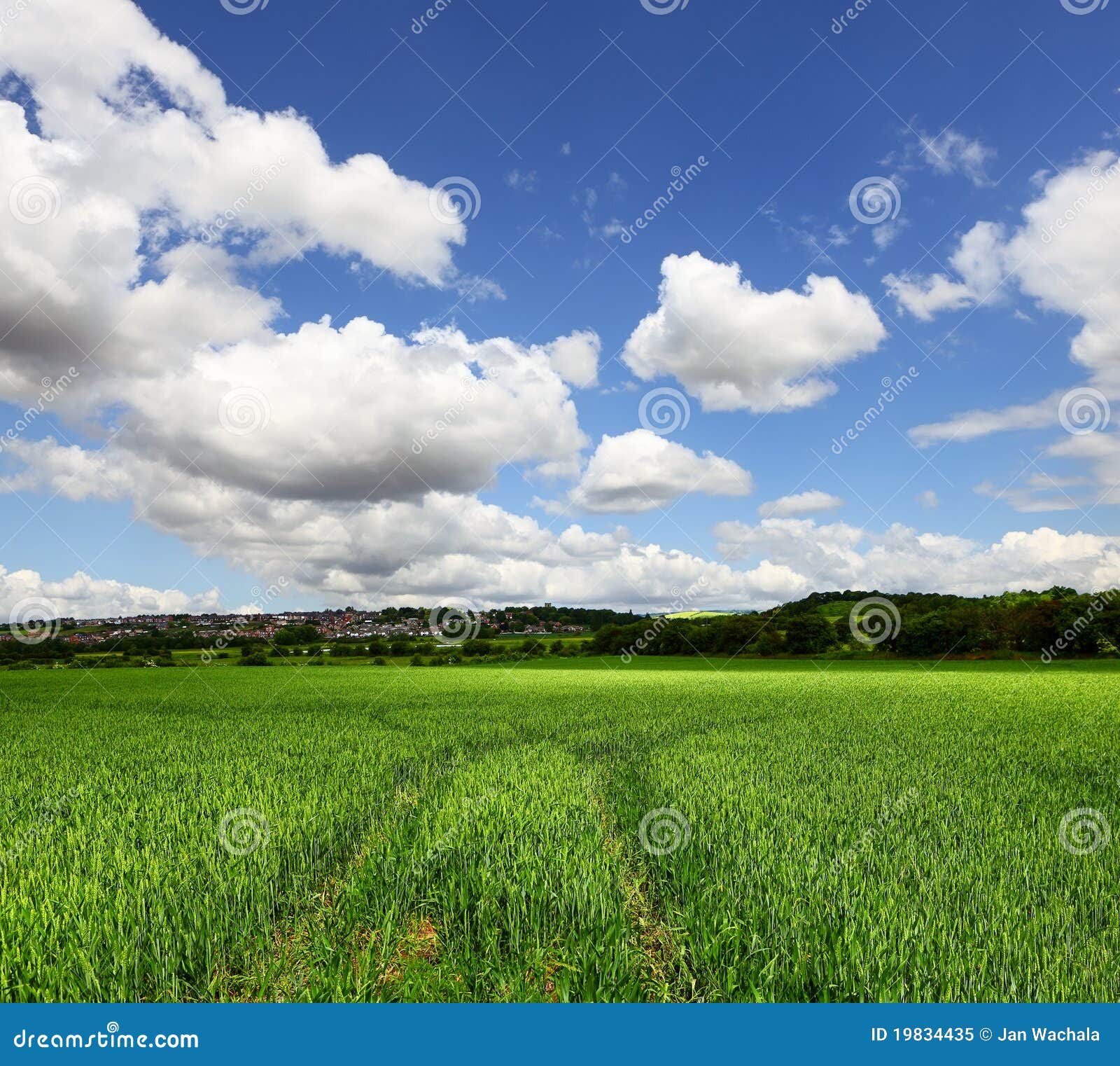 Ecologisch schoon milieu stock afbeelding. Image of ontruim - 19834435