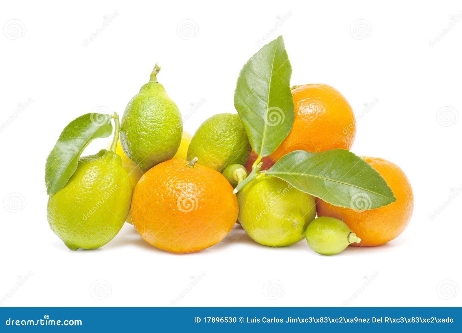 Ecologische citrusvrucht stock foto. Image of naughty - 17896530