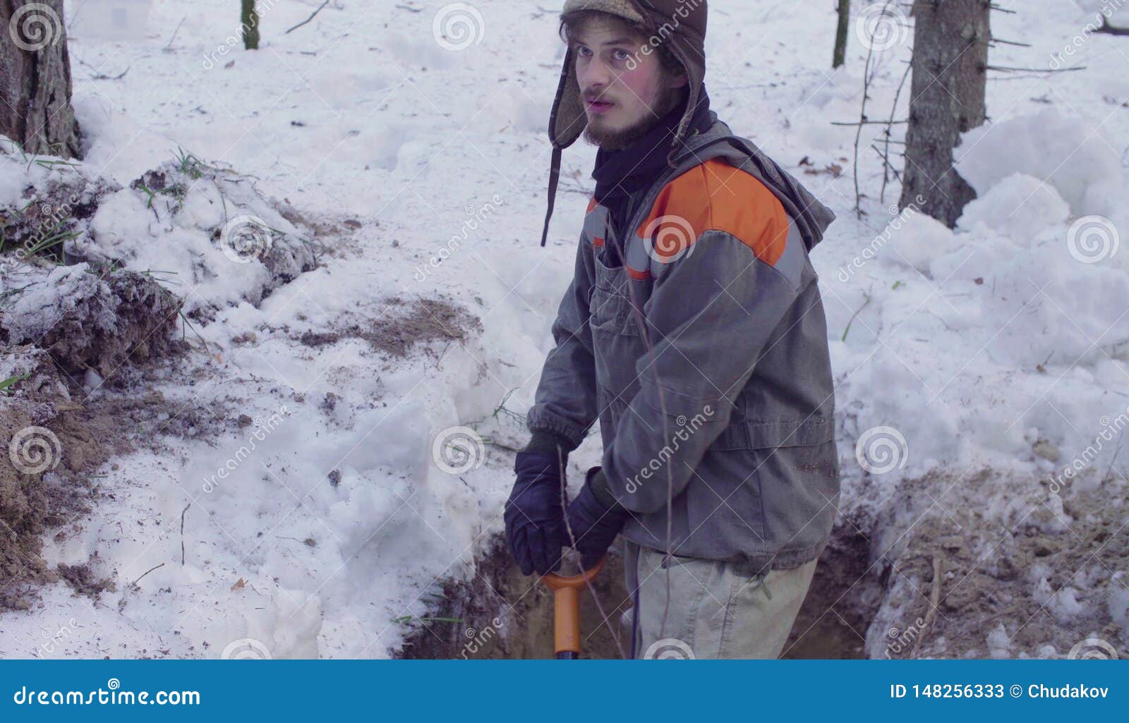 Ecologist in the Forest Digging a Soil Slit Stock Image - Image of ...