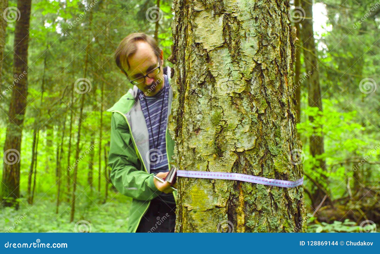 The Ecologist in a Forest Measuring a Tree Trunk Stock Photo - Image of ...