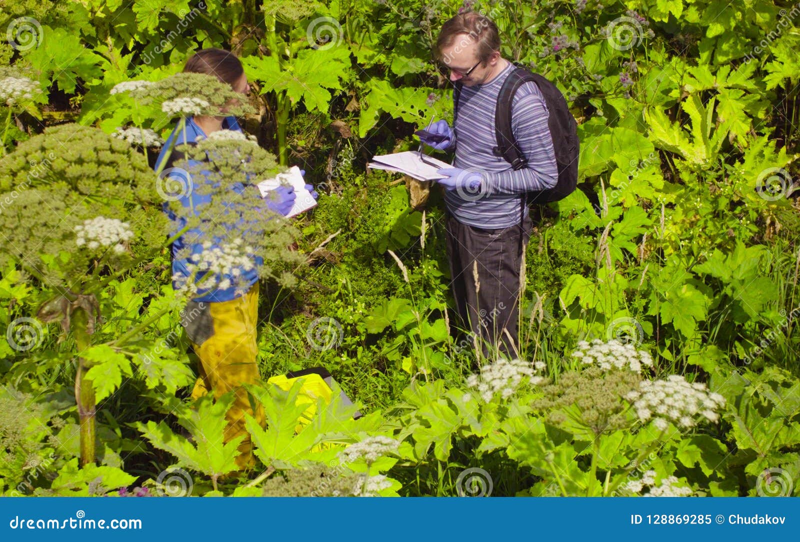 A Ecologista Que Verifica Com O Navegador De GPS Imagem de Stock ...