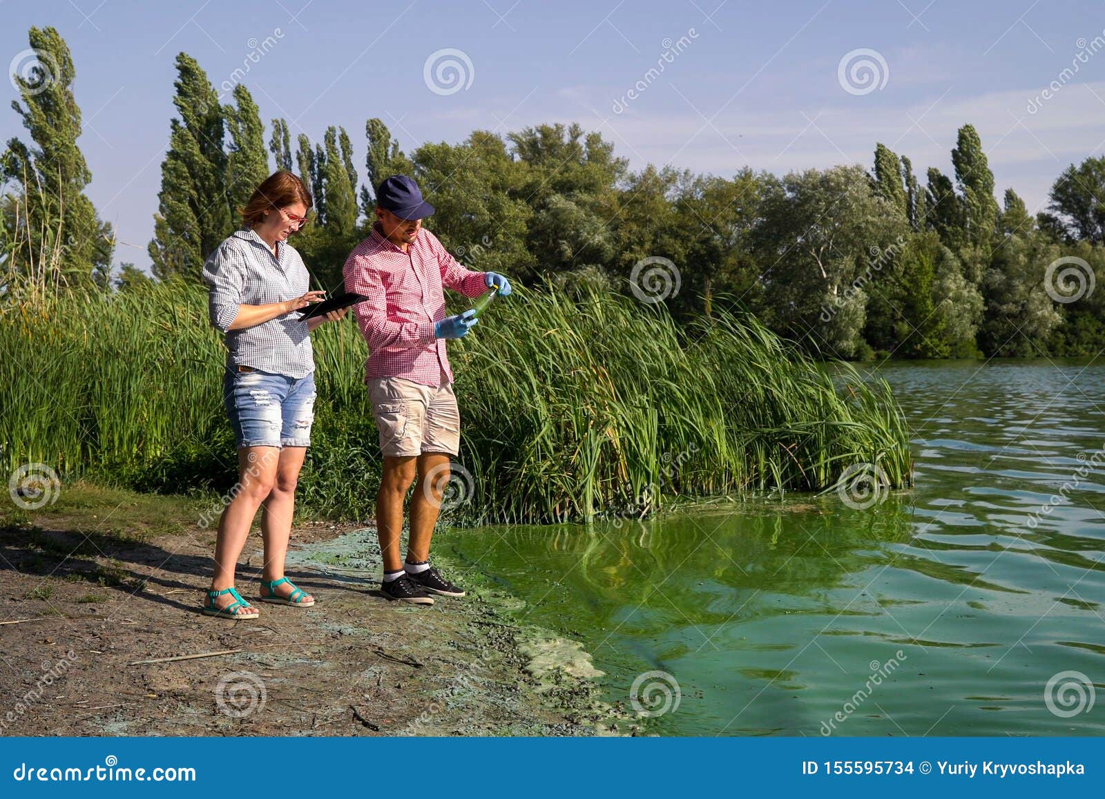 Ecologists Research Green Algae Sample Taken in River and Enter Data on ...