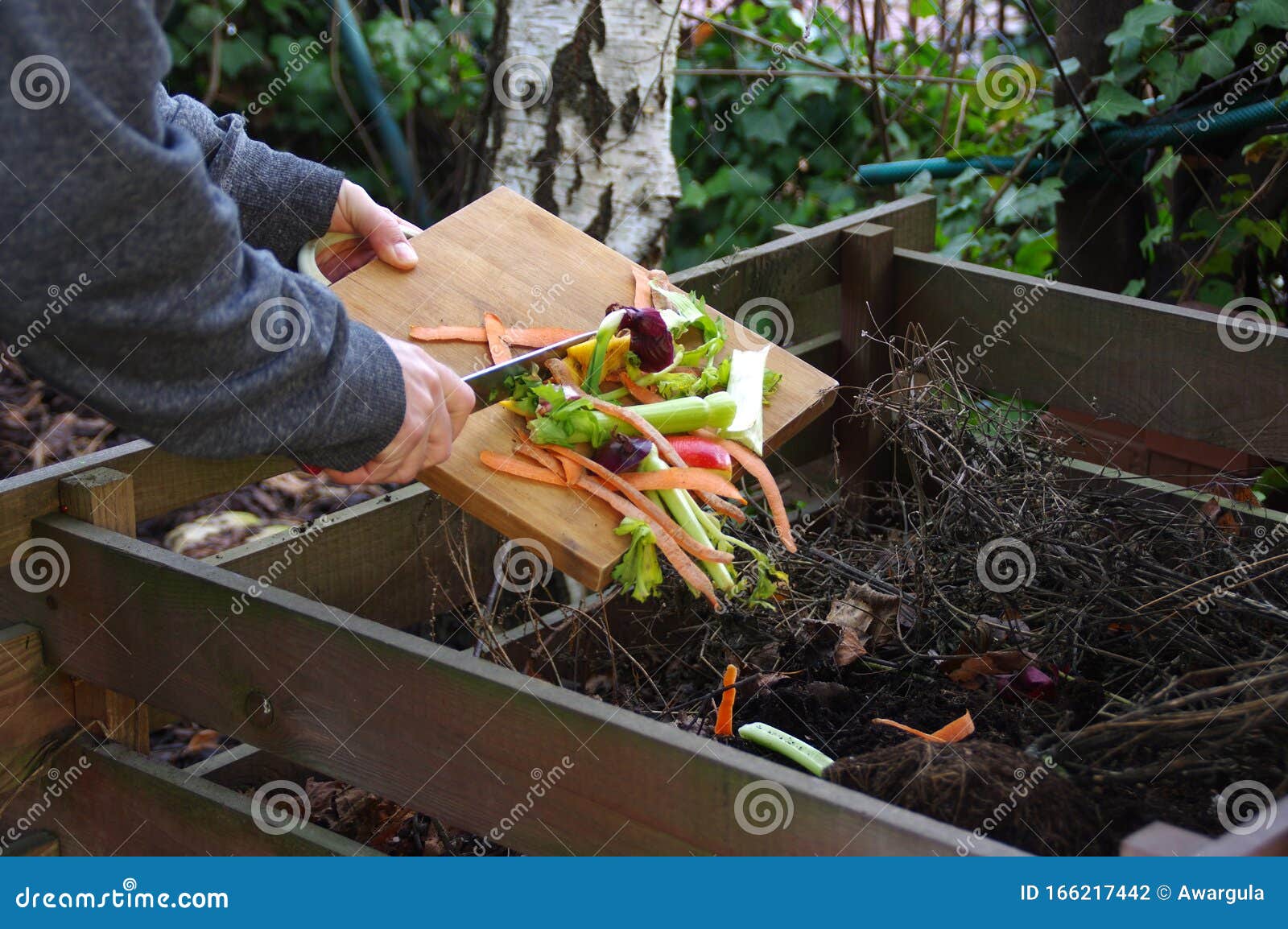 Kitchen Waste Recycling in Composter Stock Photo - Image of ecology ...