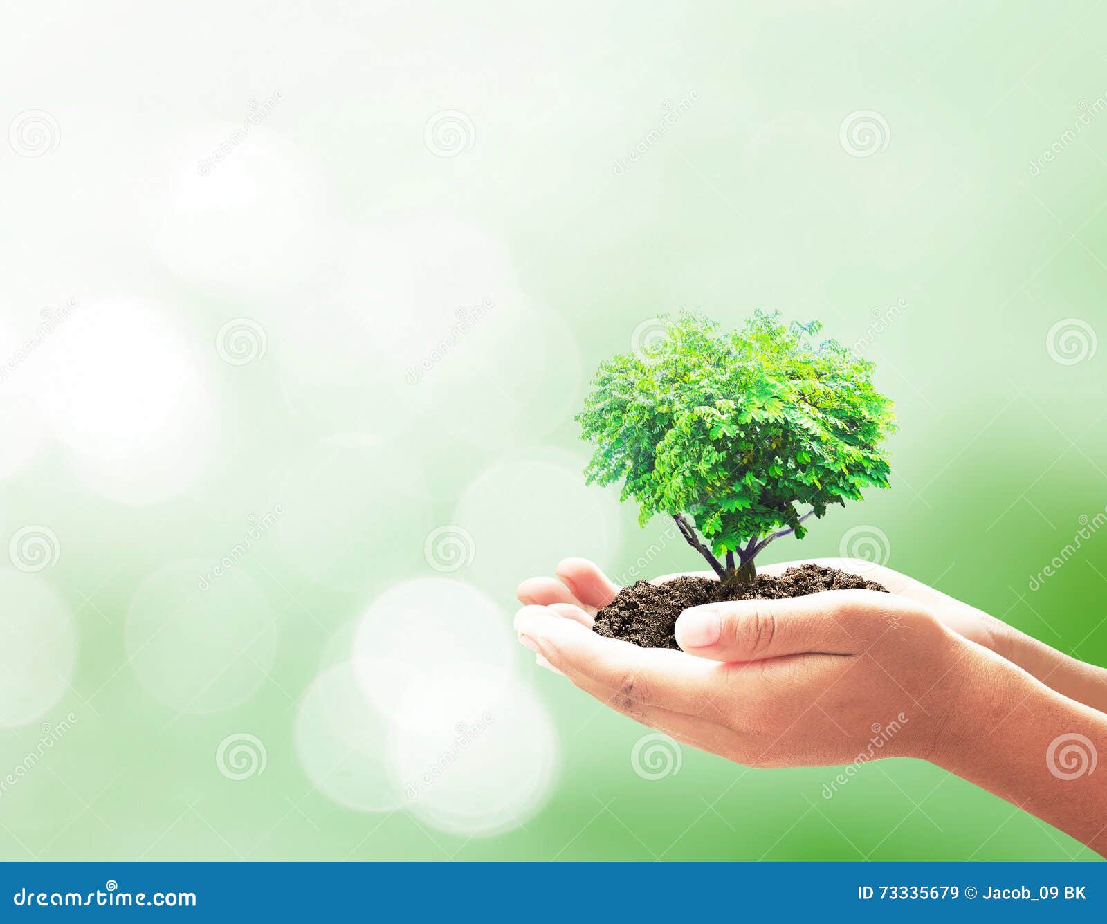 Ecology Concept Stock Image Image Of Environment Center 73335679