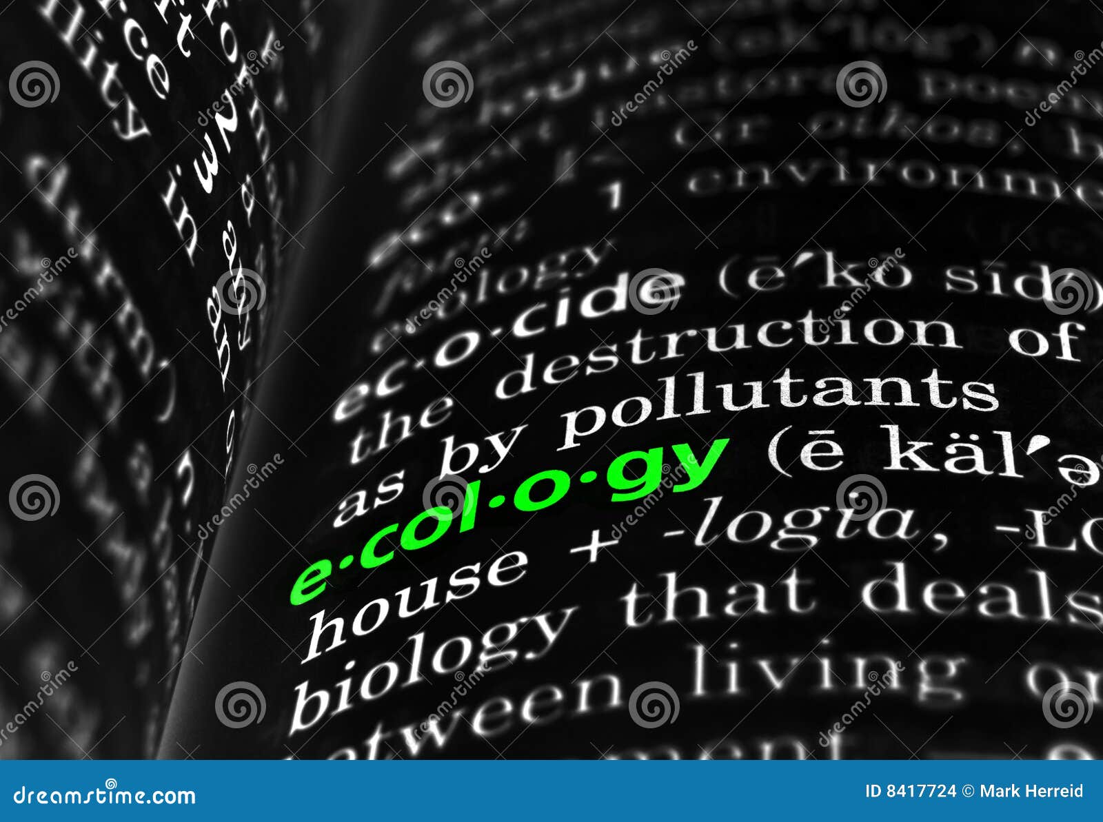 Ecology Defined on Black stock photo. Image of meaning - 8417724