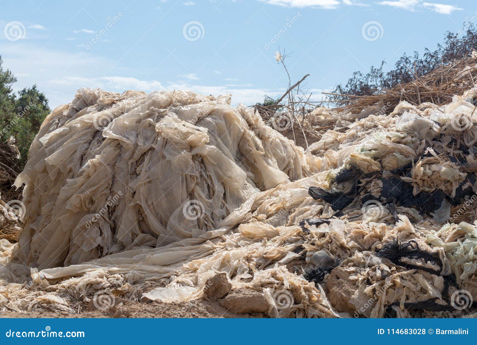 Ecology Disaster and Pollution of Nature, Plastic Garbage Decomp Stock ...