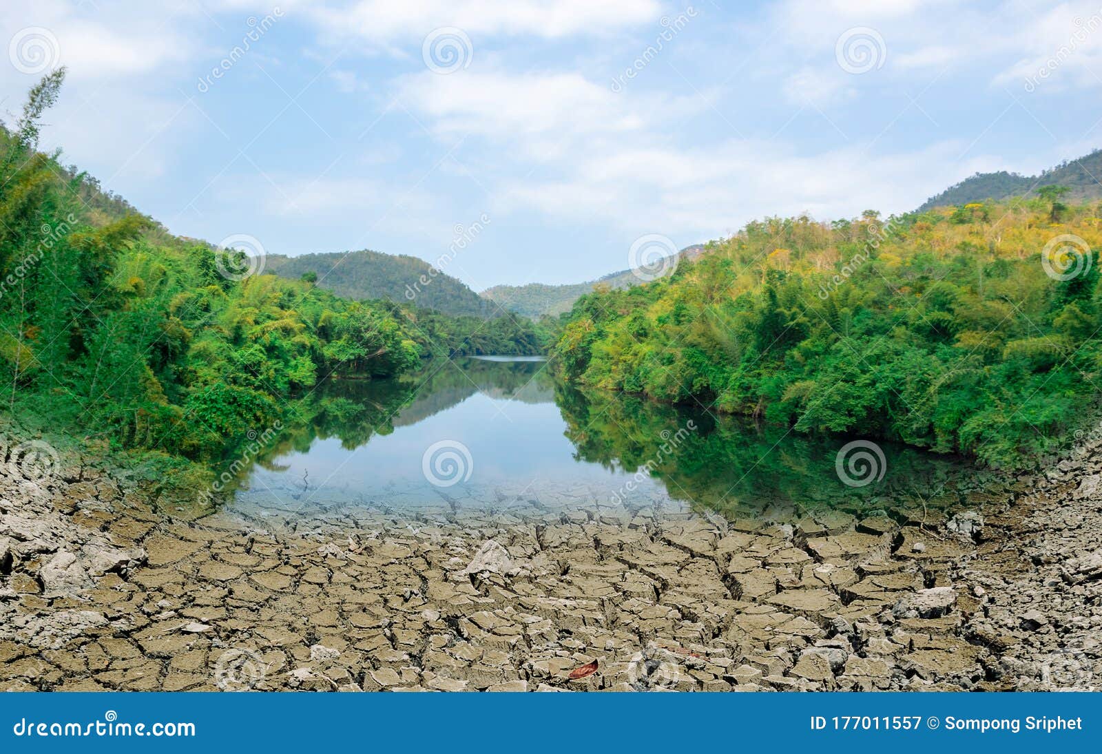 Ecology and Environment Drought Dry Ground the Water Surface Stock ...