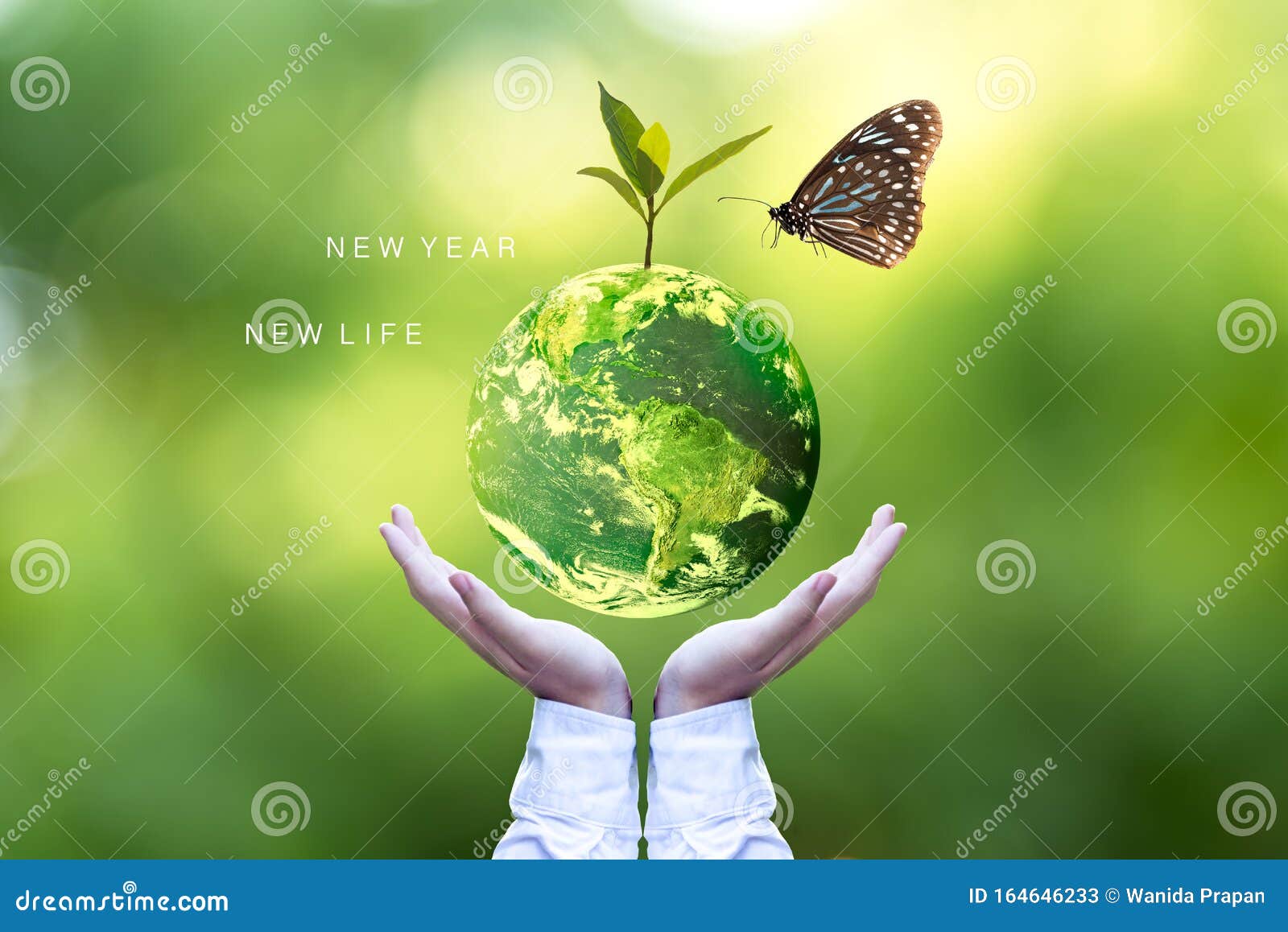 Ecology and Environment Earth. Planet and Tree with Butterfly in Human ...