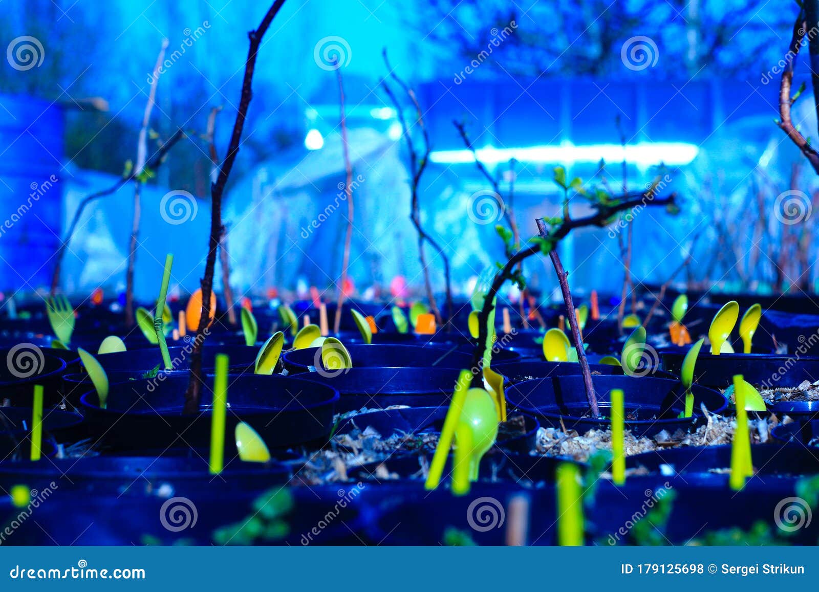 Ecology, Environmental Problems, Pollution of the Earth, Plastic, Waste ...