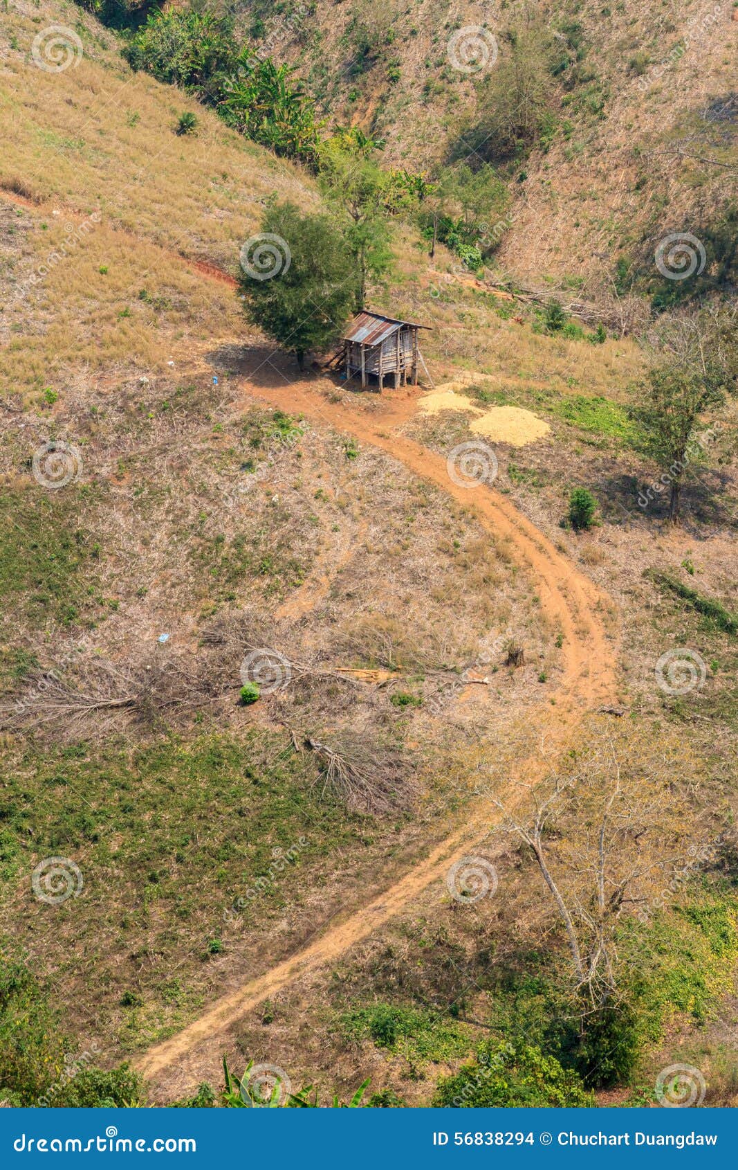 Ecology, Global Warming and Deforestation, Forest Fires, Drought Stock ...