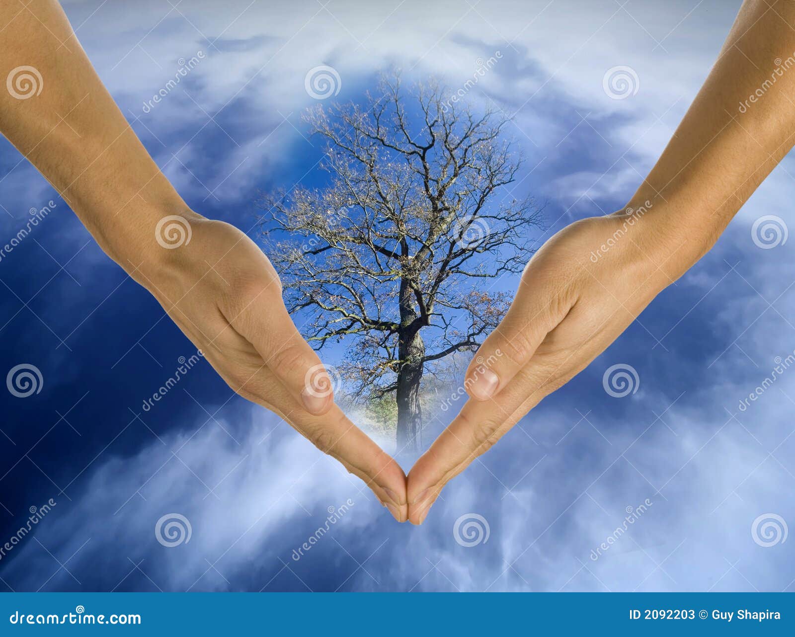 Ecology, Hands, Responsibility, Business Stock Image - Image of ecology ...