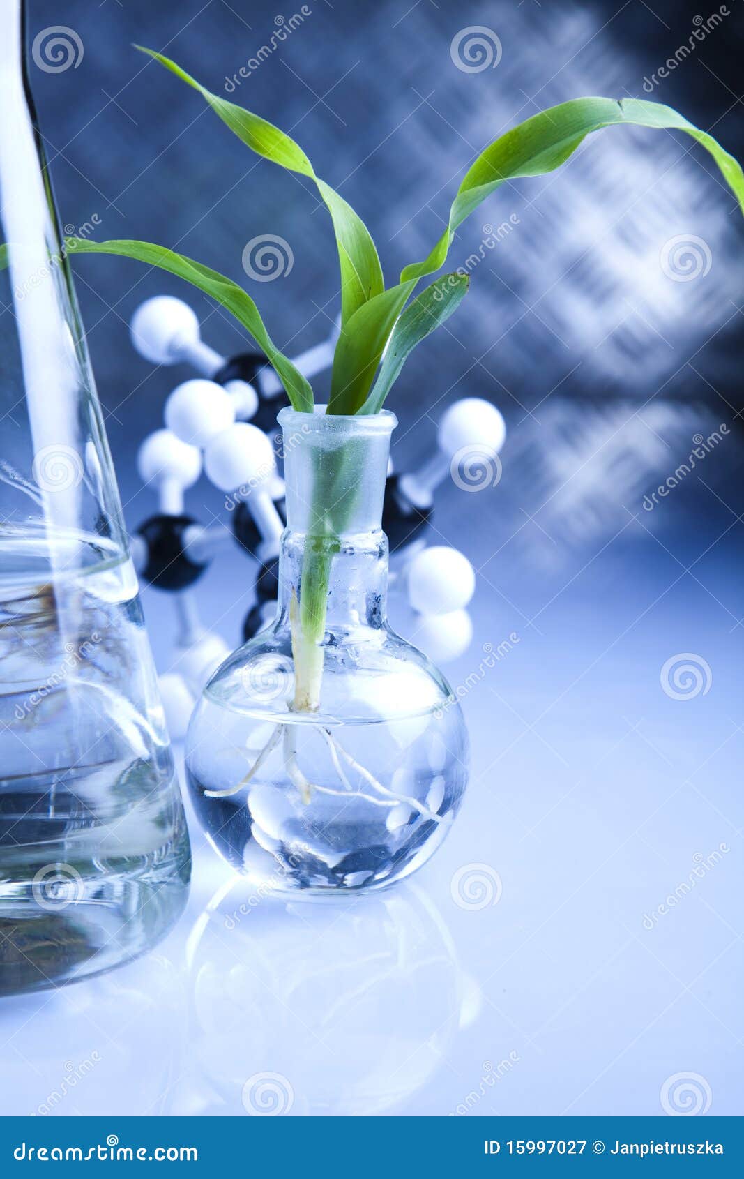 Ecology Laboratory Experiment Stock Image - Image of background ...