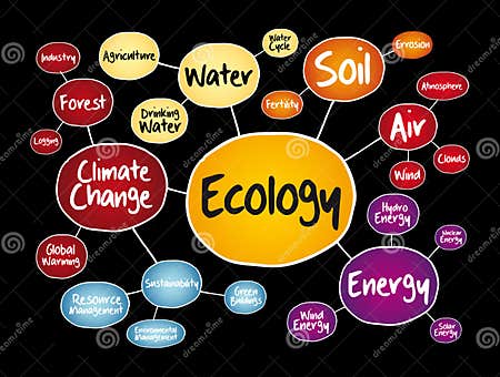 Ecology Mind Map Flowchart Concept for Presentations Stock Illustration ...
