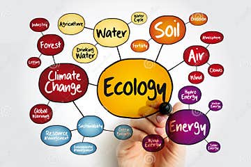 Ecology Mind Map Flowchart with Marker, Concept for Presentations and ...
