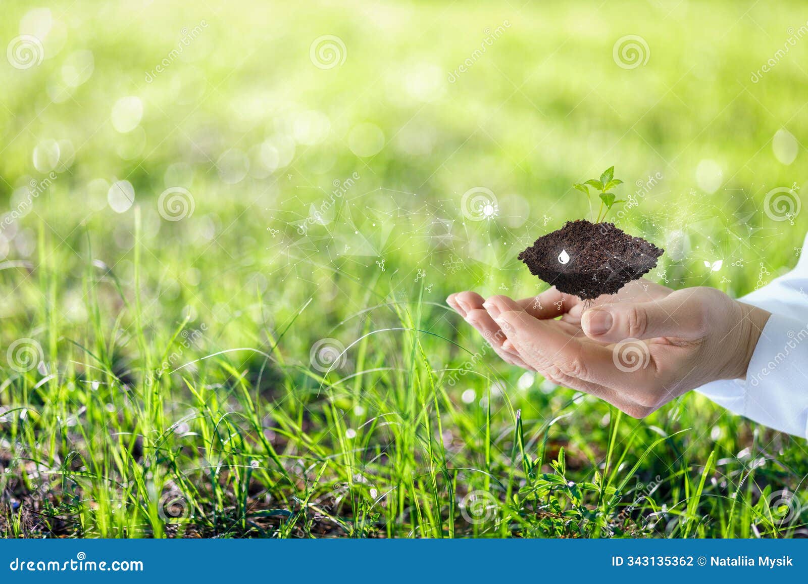 Ecology and Sustainable Development Stock Photo - Image of environment ...